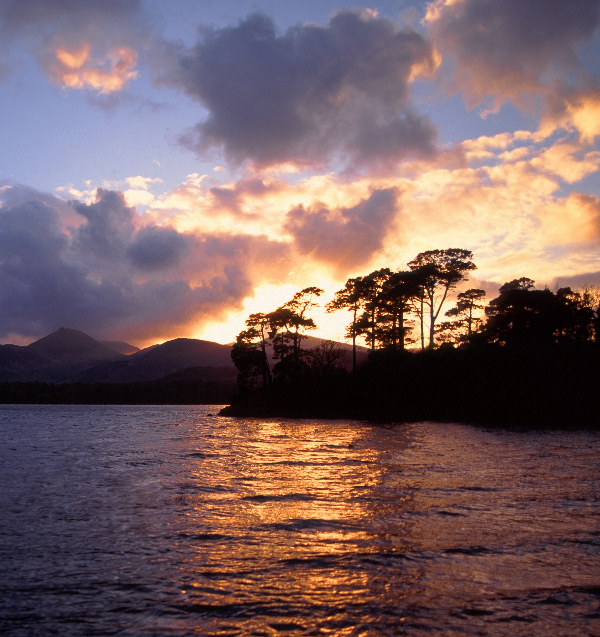 Discover 5-Star Luxury Cottages in the Lake District - Book Now!