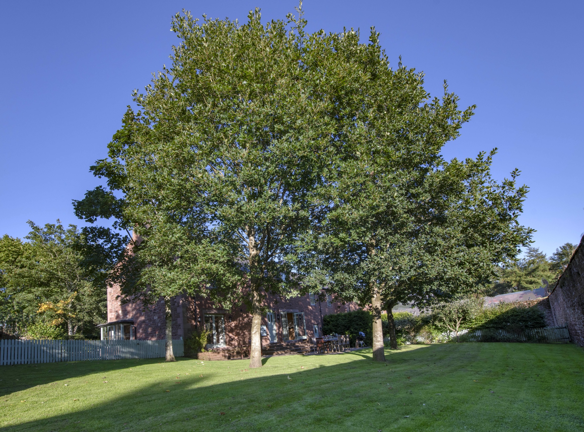 Cookie Policy | The Rowley Estates